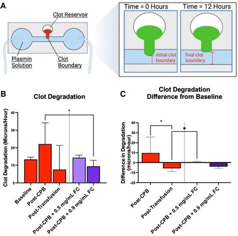 Figure 1 From Influence Of Fibrinogen Concentrate On Neonatal Clot Structure When Administered