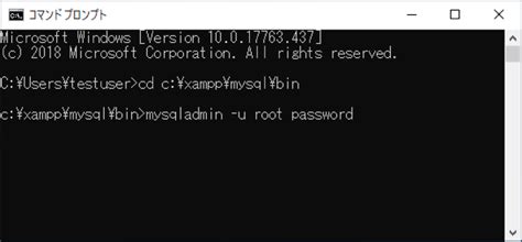 【前置きなし】xampp mysql（mariadb）のrootパスワード設定方法 windows10 【2019年4月版