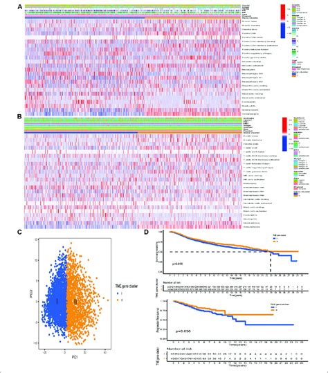 Construction Of Tme Related Gene Signature A B Unsupervised