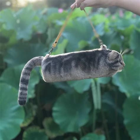 شما دوست دارید با این کیف ها که شبیه گربه است برید مدرسه‌