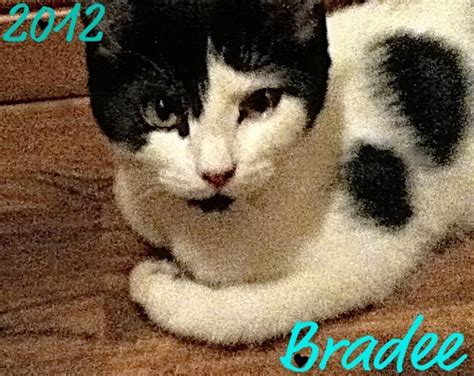 Emma Maynard Emmamaynard2 Twitter