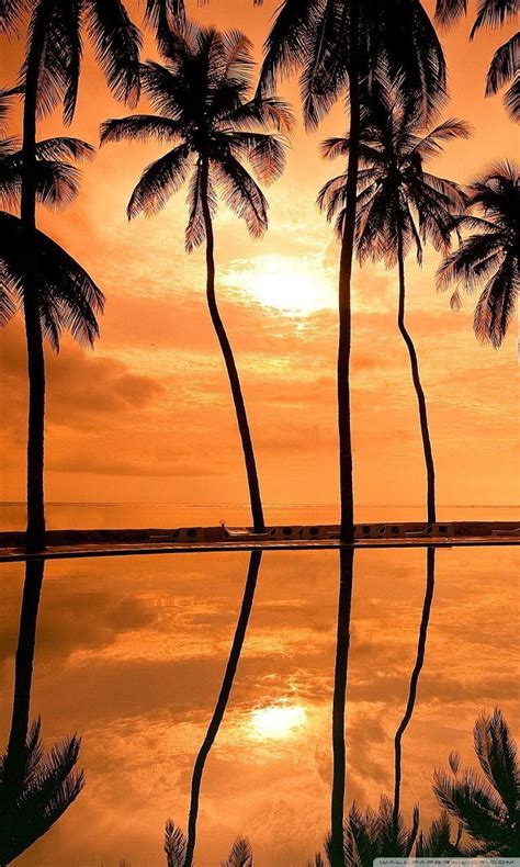 Hawaii Beach Sunset Wallpapers Top Free Hawaii Beach Sunset