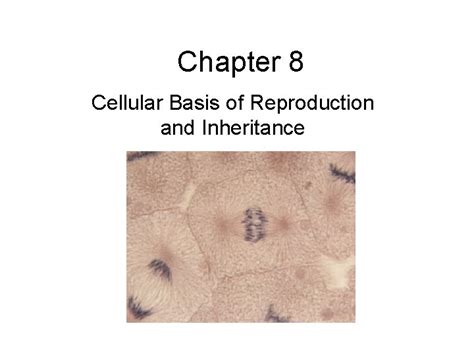 Chapter 8 Cellular Basis Of Reproduction And Inheritance