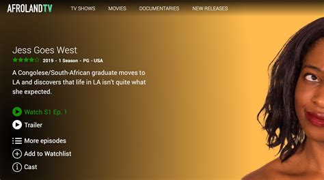 How Fv Player Helped Michael Maponga Build A Pan African Netflix