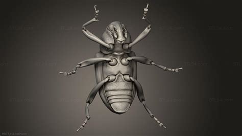 Насекомые Насекомые жук Insct0113 3d модель для ЧПУ станка