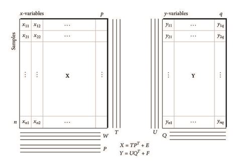 X Y Data And Models In The Pls R Modeling Approach 15 The