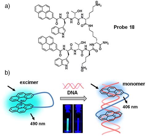 Small Molecule Based Ratiometric Fluorescence Probes For Cations Anions And Biomolecules