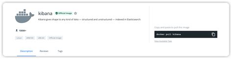 docker安装elasticsearch和kibana kibana7 17 3 docker csdn博客