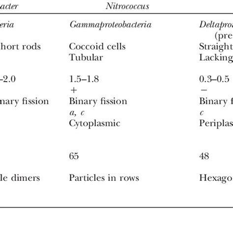 Differentiation Of The Four Genera Of Nitrite Oxidizing Bacteria Download Table