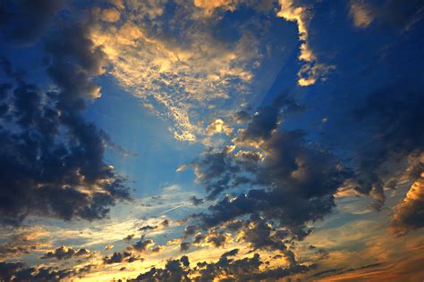 Trees Lake Sunset Clouds Sky Evening 4k Trees Sunset