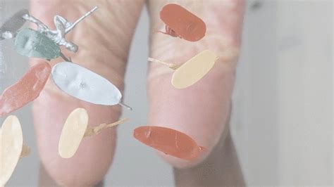 Tinas Flat Feet Giantess Toy Soldier Trample My Feet Stomp And Crush Toy Soldiers