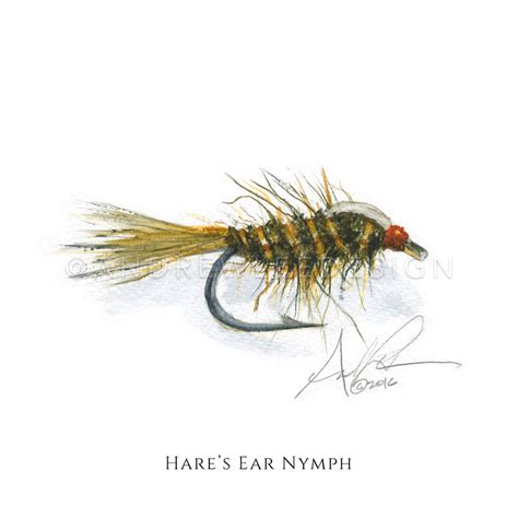 Fly Pheasant Tail Nymph Pattern Andrew Lee Design