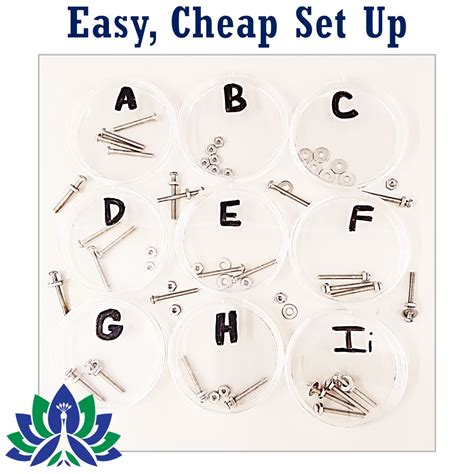 Classification Of Matter Activity Modeling Pure Substances Vs Mixtures Flying Colors Science