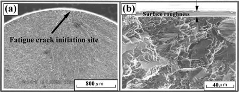 Sem Micrographs Of Fatigue Fracture Surface For 100 Roughness Specimen