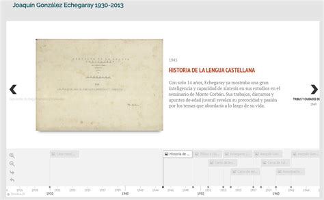 Issues With Timeline Module In Omeka S Modules Omeka Forum