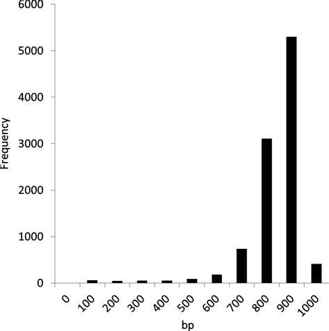 Metagenome Fragment Classification Based On Multiple Motif Occurrence