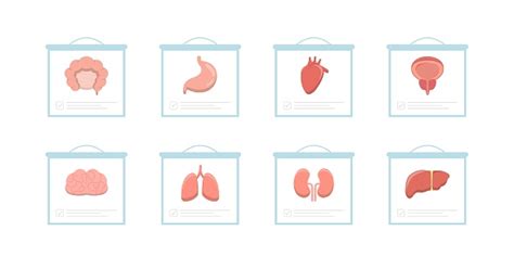 8 인간의 장기 심장 대장 창자 위 뇌 방광 전립선 신장 폐 간 인포 그래픽이있는 클립 보드 건강관리와 의술에 대한 스톡 벡터