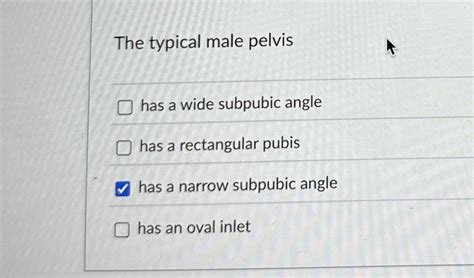 Solved The Typical Male Pelvishas A Wide Subpubic Anglehas A