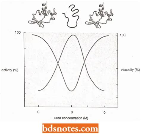 Post Translational Modifications Of The Protein Bds Notes