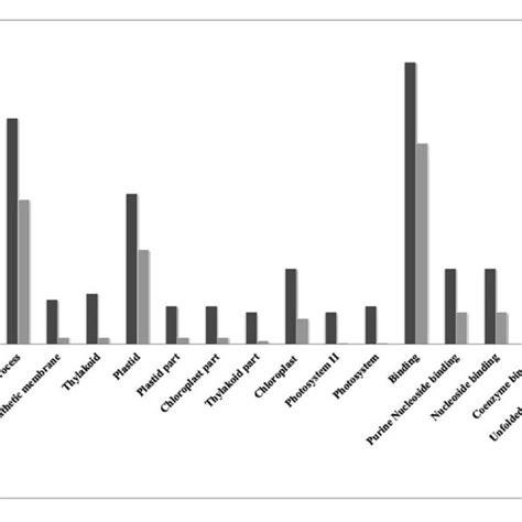Gene Ontology Go Annotation Analysis Of Cloned Expressed Sequence Download Scientific