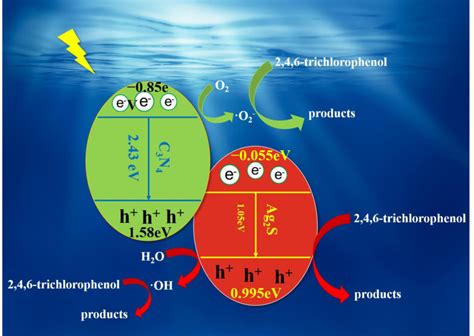 Schematic Diagram Of Acns For Degradation Of Pollutants Download