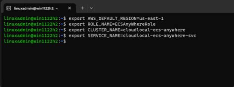 Ecs Anywhere Run Aws Containers On Your Home Server On Premises