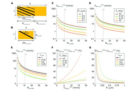 analysis of the angle image processing algorithm a scheme of a