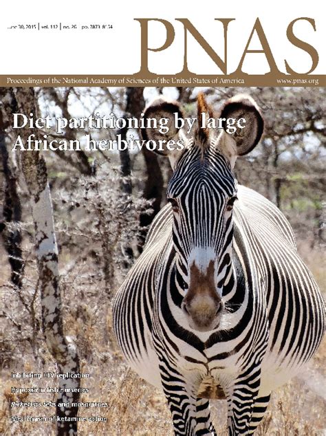 Pdf Dna Metabarcoding Illuminates Dietary Niche Partitioning By African Large Herbivores