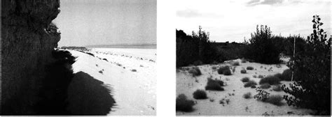 Dunes Along The Southeastern Shore Of Lake Mcconaughy A Linear Dune