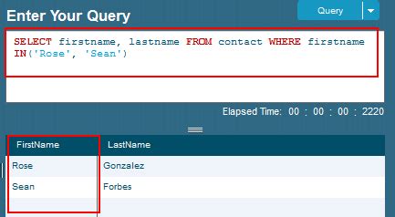 SOQL IN Operator Crmsalesforcetraining Com