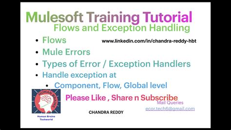 P1 S6mulesoft Tutorial For Beginnersmulesoft Exception Handling