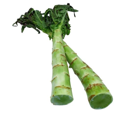 Shop Wholesale Aa Choy Heart Purveyd