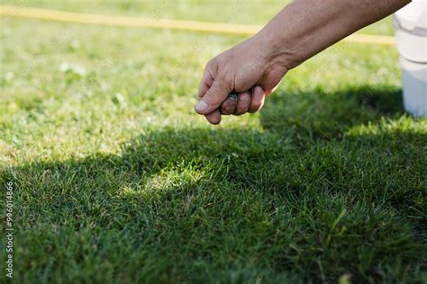Lawn Overseeding Man Spreading New Grass Seed Over An Existing Lawn To