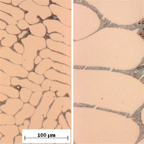 Dendritic Microstructure Of Cuzr2 Alloy After Casting Download Scientific Diagram