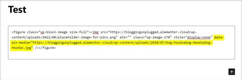 How To Hide Pinnable Images In Wordpress Blog Posts
