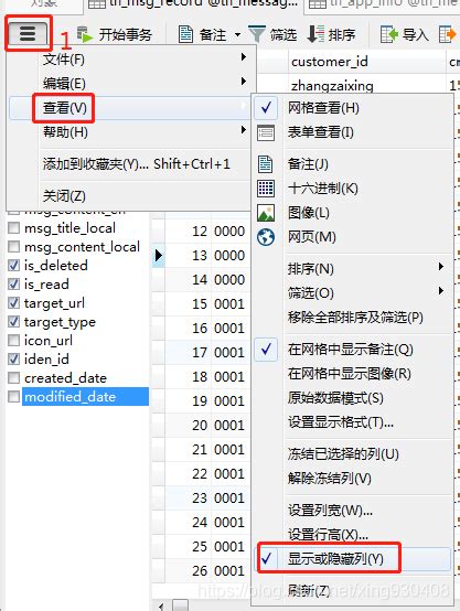 navicatpremium显示 隐藏某些列 navicat显示或隐藏列 csdn博客