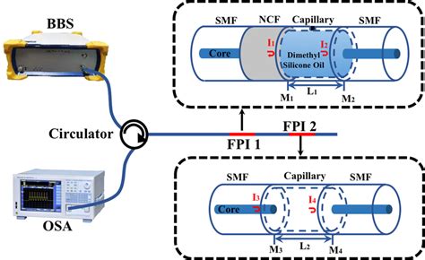 Schematic Diagram Of The Proposed Sensor The Inset Is The Enlarged Download Scientific Diagram
