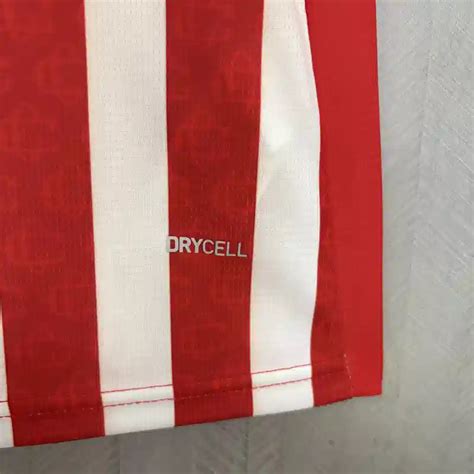 2627 Chivas Guadalajara Cd Special Red Soccer Jersey Jersey Soccer