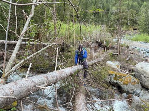 Mount Devoy Stevens Peak Bagging Journey
