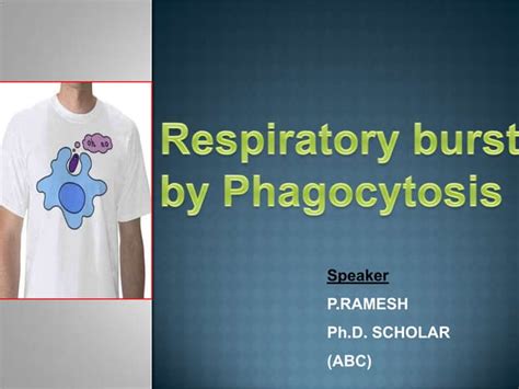 Respiratory Burst By Phagocytosis Pptx