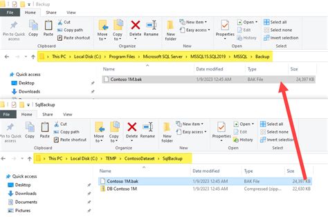 generate custom contoso database for sql server by sqlbi eli5