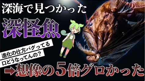深海で見つかった世界一怖い生き物たち Youtube