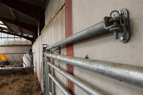 2 In 1 Calving Gate Teemore Engineering Livestock Housing Specialists