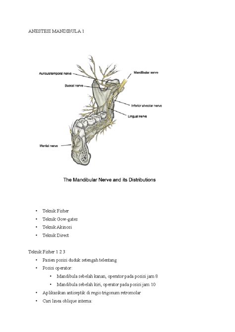 Anestesi Mandibula 1 Anestesi Mandibula 1 Teknik Fisher Teknik Gow