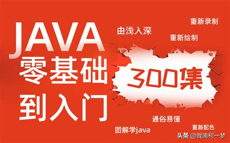 编程基础循环1 哔哩哔哩