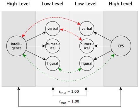 the paper working memory fluid reasoning and problem solving by