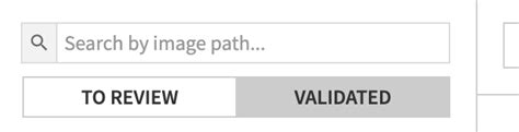 Edit Image Labels After Validation Dataiku Community