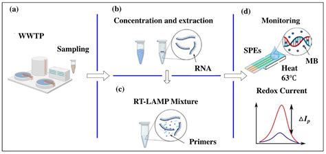 Current Trends In Rna Virus Detection Via Nucleic Acid Isothermal Amplification Based Platforms