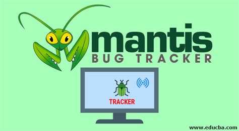 Mantis Bug Tracker Use Of Mantis To Track Software Bug And Defects
