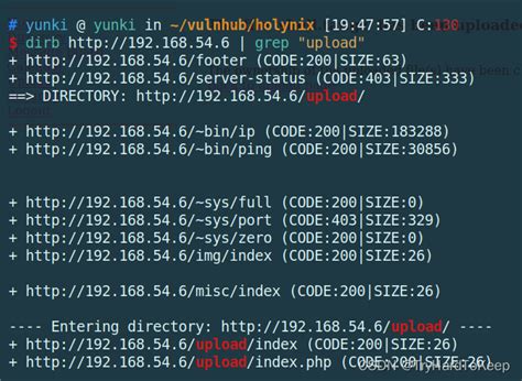 Holynix V1 Csdn博客